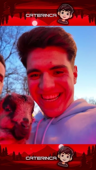 DORIAN POPA REACTIE LA CAPRITA LUI BISOI😍 #dorianpopa #funny #shorts # ...