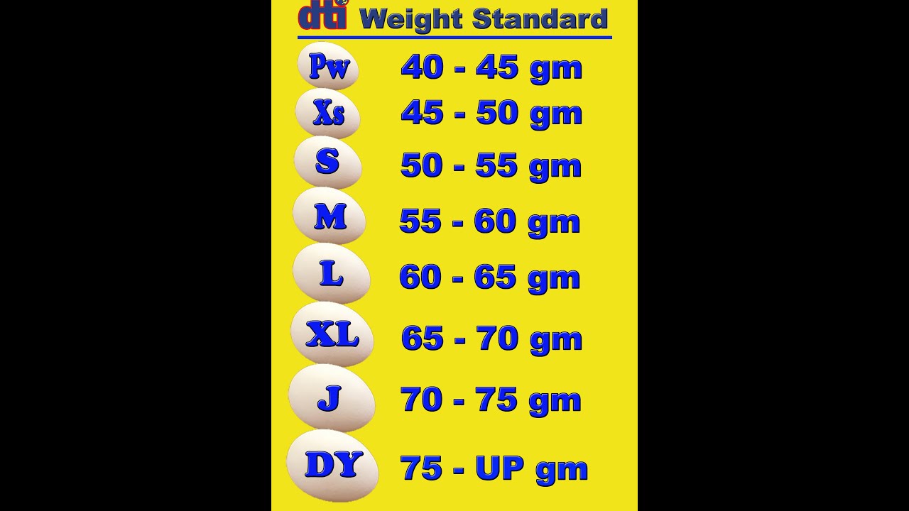 Egg Classification according to weight. - YouTube