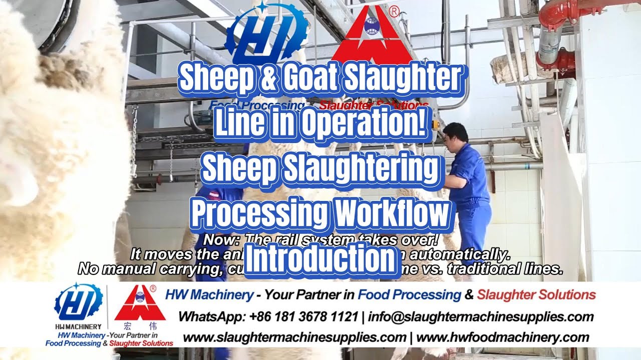 Sheep & Goat Slaughter Line in Operation | Complete Slaughtering ...