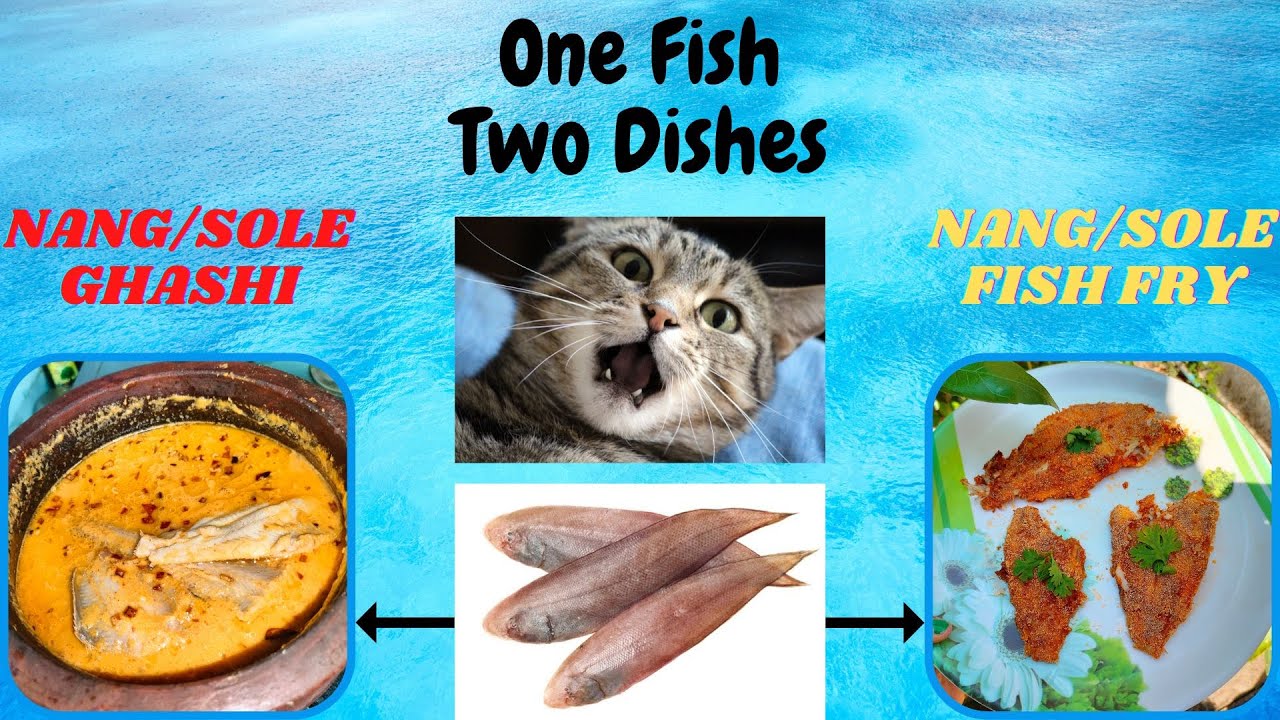 1 fish 2 dishes I Nang Fish Curry & Nang Fish Fry I #fishrecipe # ...