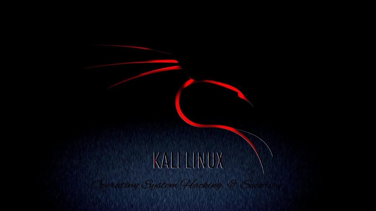 MY ONE AND ONLY LOVE | KALI LINUX STATUS | HACKING STATUS | HACKER ATTITUDE STATUS - YouTube