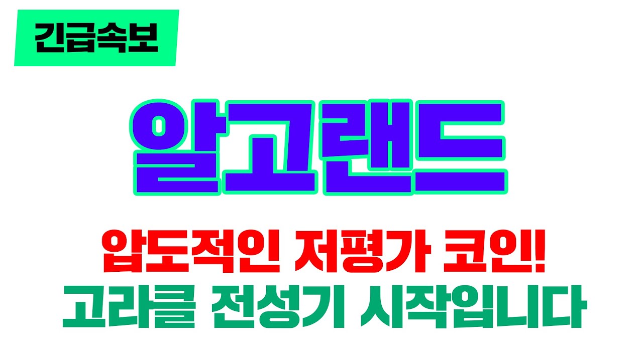 알고랜드 압도적인 저평가 코인 고라클 전성기 시작입니다 알고랜드 알고랜드전망 알고랜드코인 알고랜드코인전망 Youtube