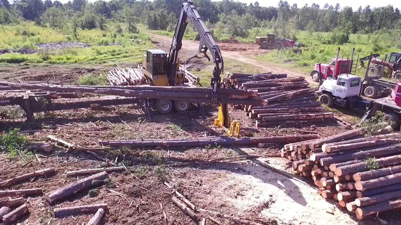 Cutting up short logs - YouTube
