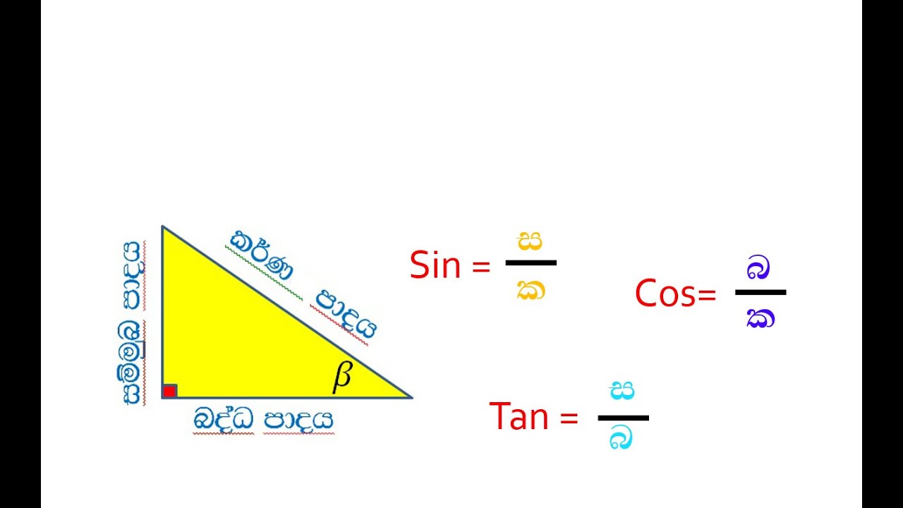 11 ශ්‍රේණිය ත්‍රිකෝණමිතිය - Trigonometry for Grade 11 - YouTube