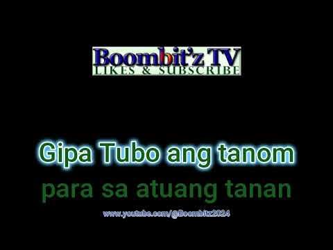 Herbal Na Utan - Rudy Tagsip of Halamana (Karaoke) - YouTube