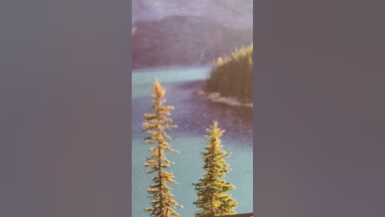 zechariah-1-7-17-esv-a-vision-of-a-horseman-youtube