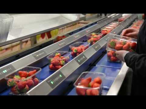 Soft Fruit Packing Station FruitMasters 2018 - YouTube