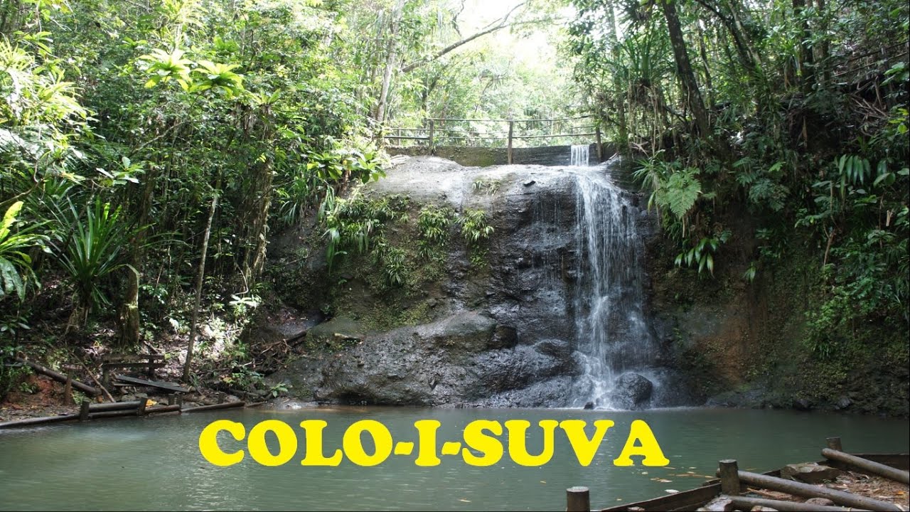 FIJI ISLANDS_COLO-I-SUVA RAIN FOREST RESERVE_VATSAL BHAVSAR_VARIETY ...