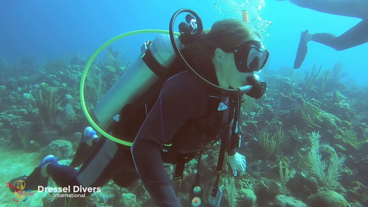 Scuba Diving In Montego Bay Means to Enjoy An Oasis Of Life - YouTube