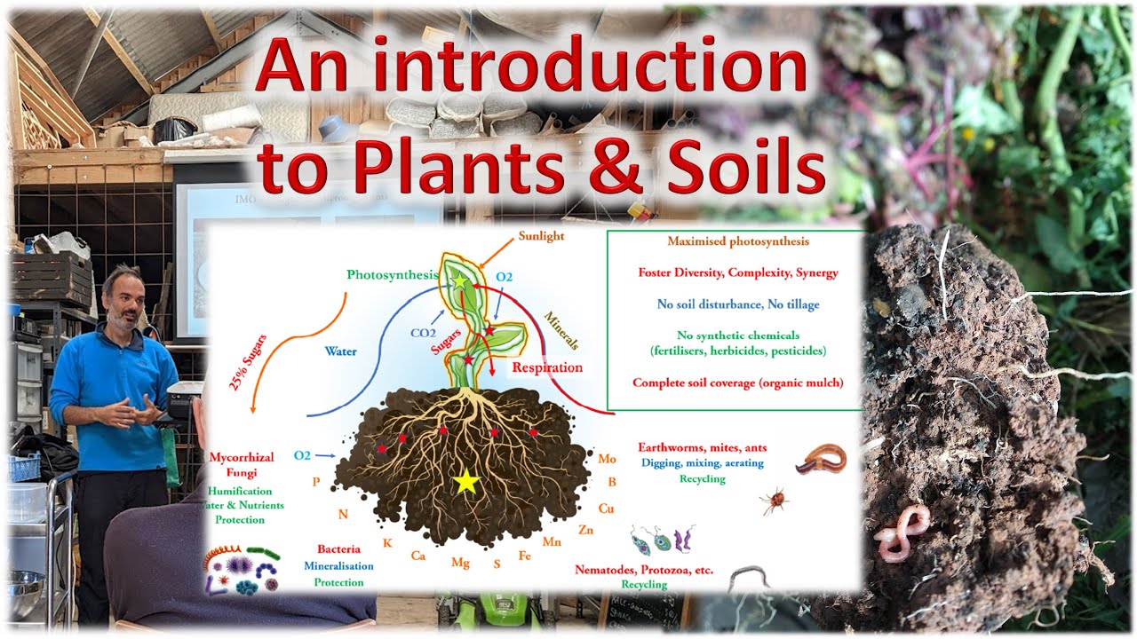 How plants and soil work - an introduction for Regenerative Gardeners ...