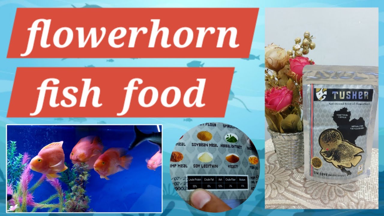 Best fish food | Tusker fish food | fish food #fish #fishvideo # ...