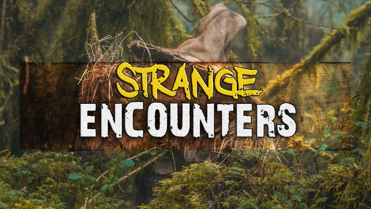 Beyond Nightmares: Strange and Insane Cryptid Encounters - YouTube