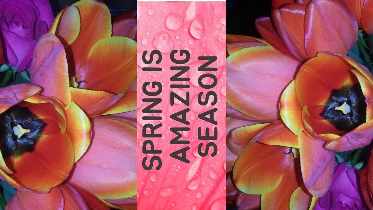 Spring Is Amazing Season 🌺 Весна дивовижна пора року Youtube