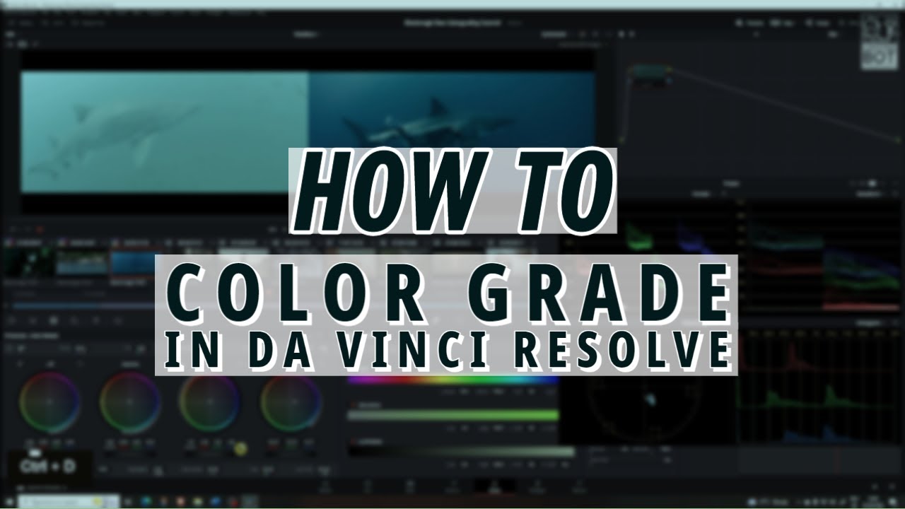 Color Grading in Da Vinci Resolve for Digital Artist - YouTube