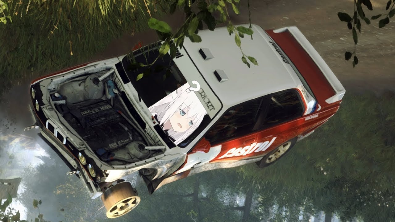 Giải thích về một số callouts của Dirt Rally 2.0 - YouTube