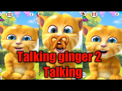 Talking ginger|Talking ginger 2 cute cat talking|Ginger 2 Gamplay|Cute ...