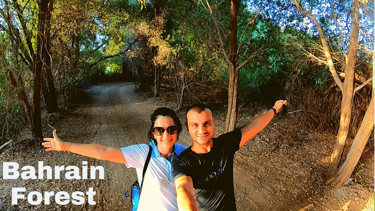 WE FOUND A FOREST IN THE DESERT! | BAHRAIN HEAVEN | KARZAKKAN. - YouTube