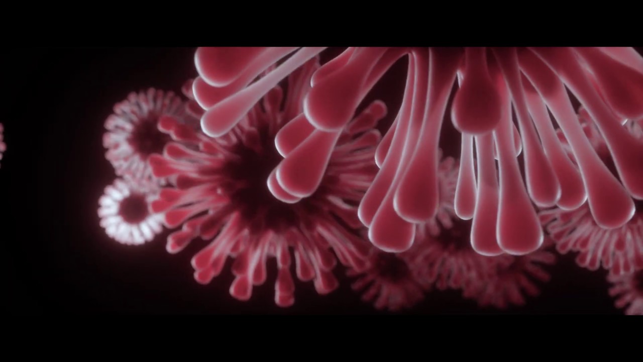 Day #055 // The Virus // Cinema 4D & Octane Render - YouTube Music