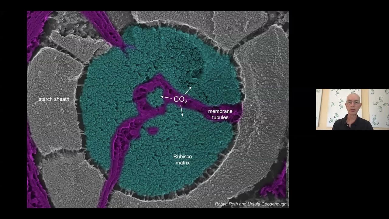Theory and Experiment Loop (Part 2) - YouTube
