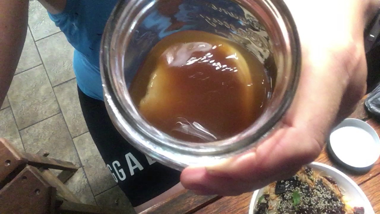 Meet Scoby - my Kombucha baby mama - YouTube