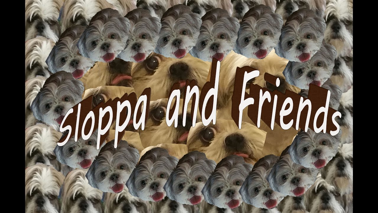 Sloppa and Friends - YouTube