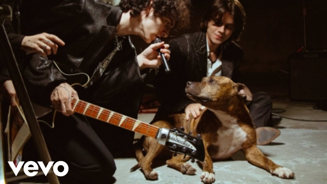 Venere Vai Venus - EGO (Clipe) - YouTube