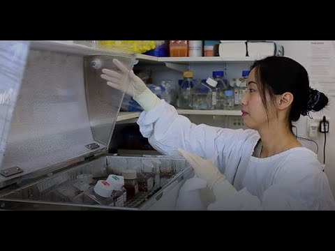 ADRI | Inside our Lab - YouTube