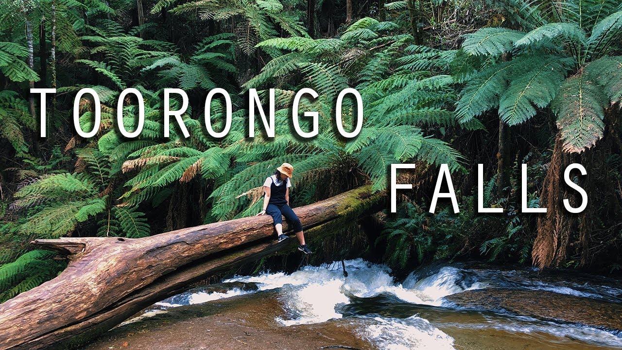AUSTRALIA [VLOG#3] | A day trip to Toorongo & Amphitheatre Falls ...