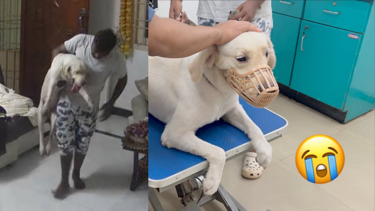 Febbie’s critical stage 💔 Sad CCTV footage 😭 - YouTube