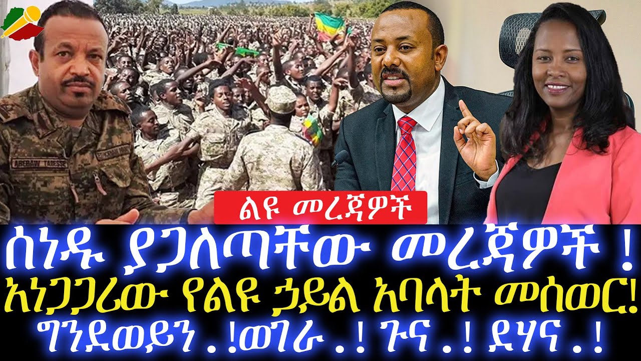 ሰነዱ ያጋለጣቸው መረጃዎች ! አነጋጋሪው የልዩ ኃይል አባላት መሰወር! ግንደወይን.!ወገራ.! ጉና.! ደሃና.! | Ethio News - YouTube