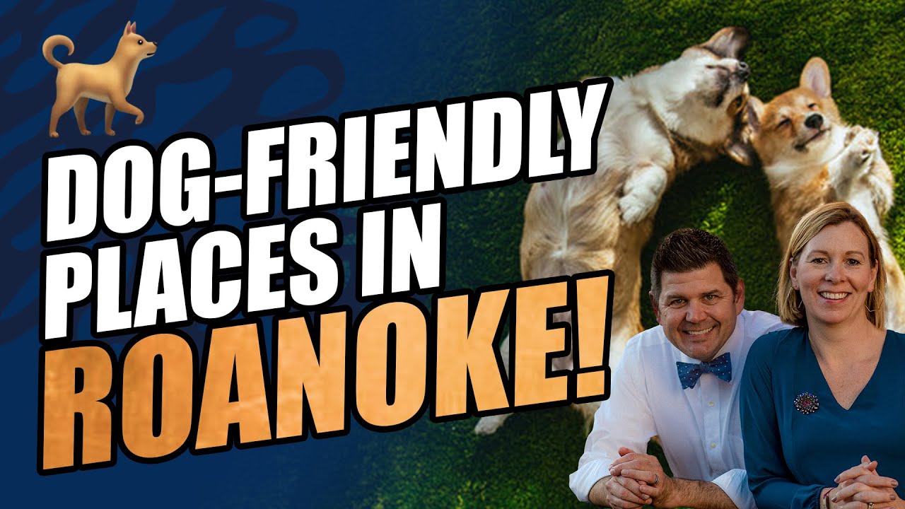 Dogs Just Wanna Have Fun: The Ultimate Guide to Roanoke's Pet-Friendly ...