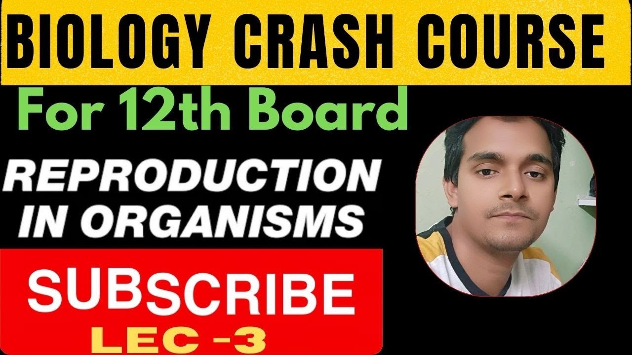 Class 12th Biology Crash course | 12th biology crash course 2024 ...