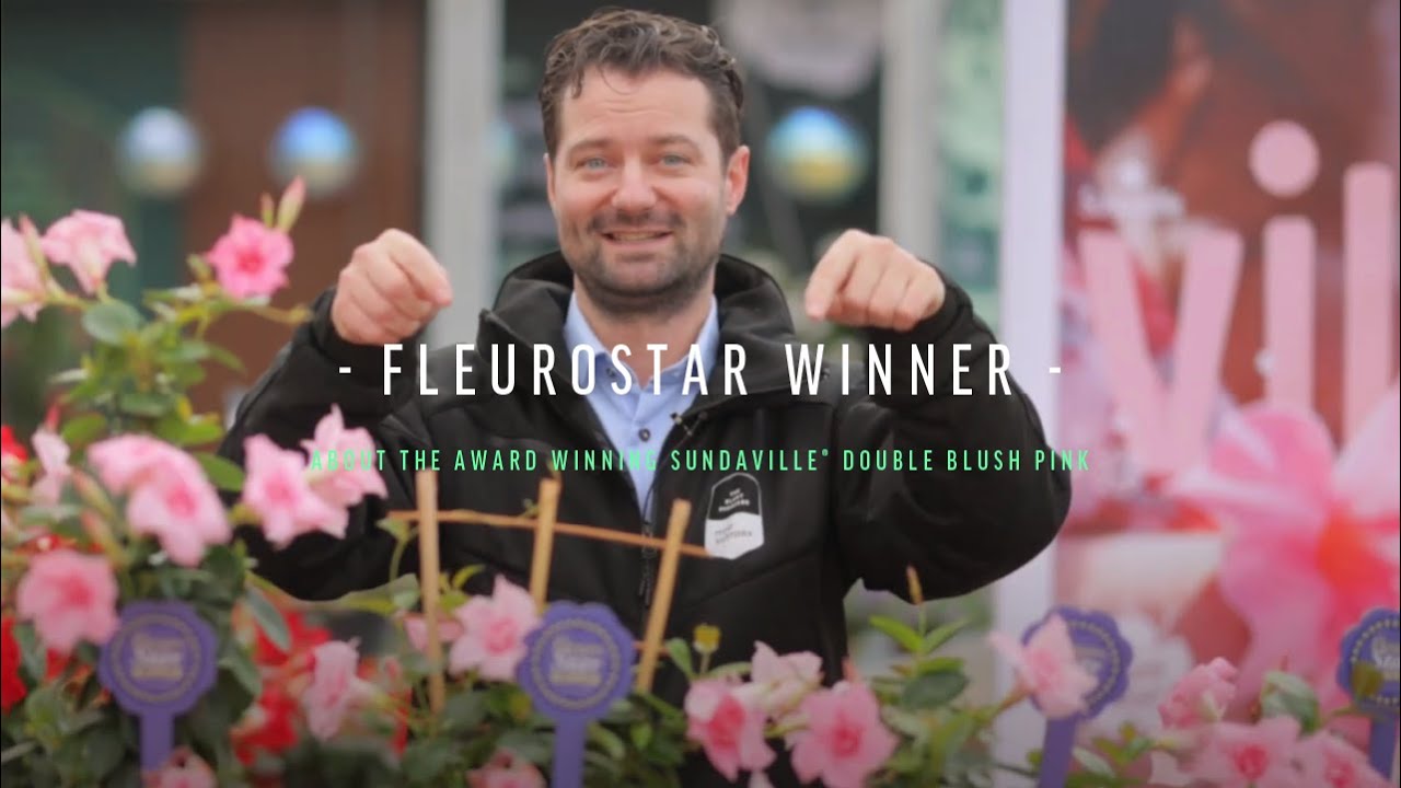 Erwin talks about the new Sundaville® Double Blush Pink - YouTube