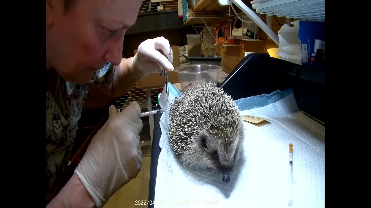 Administering a subcutaneous injection - YouTube