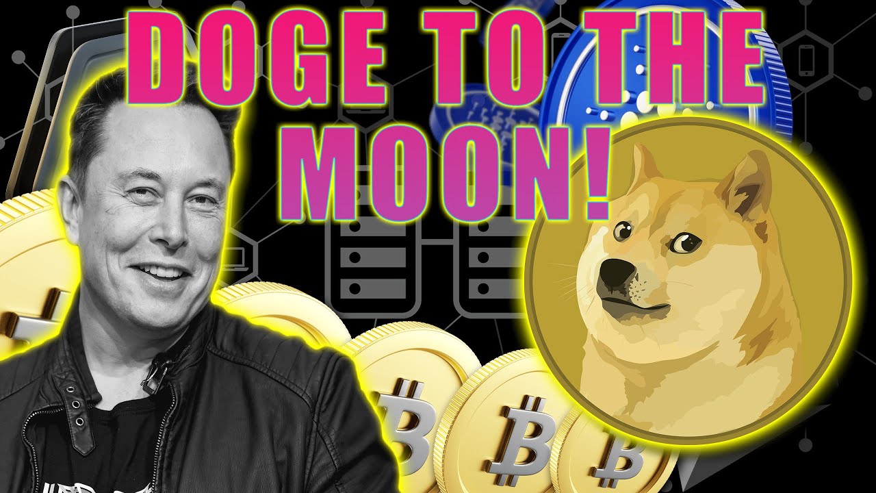 ELON MUSK PUMPS DOGE! - YouTube