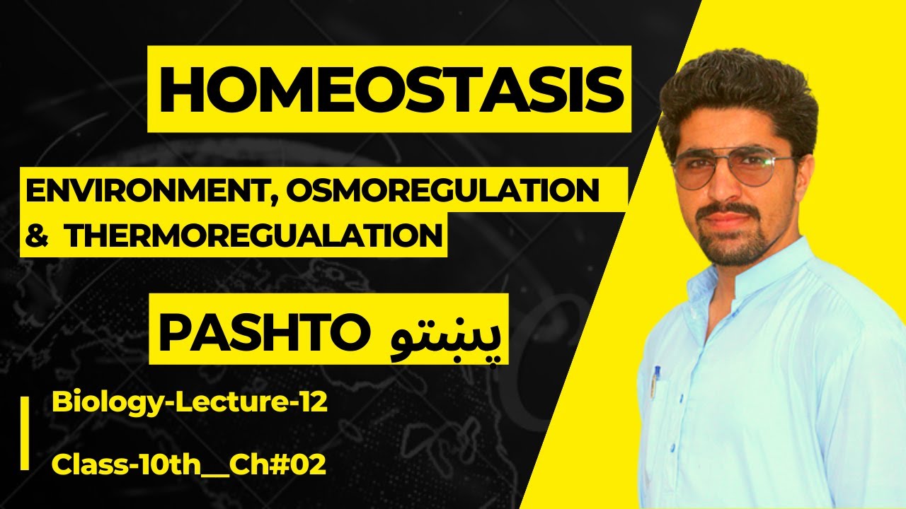 Homeostasis | Biology Class 10th | Chapter 02 | Lecture 12 | Pashto ...