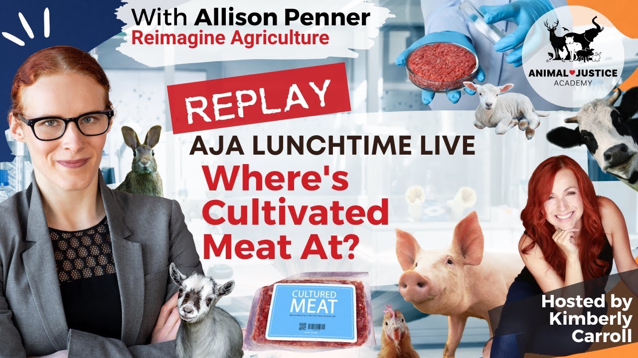 Where's Cultivated Meat At? - Allison Penner - YouTube