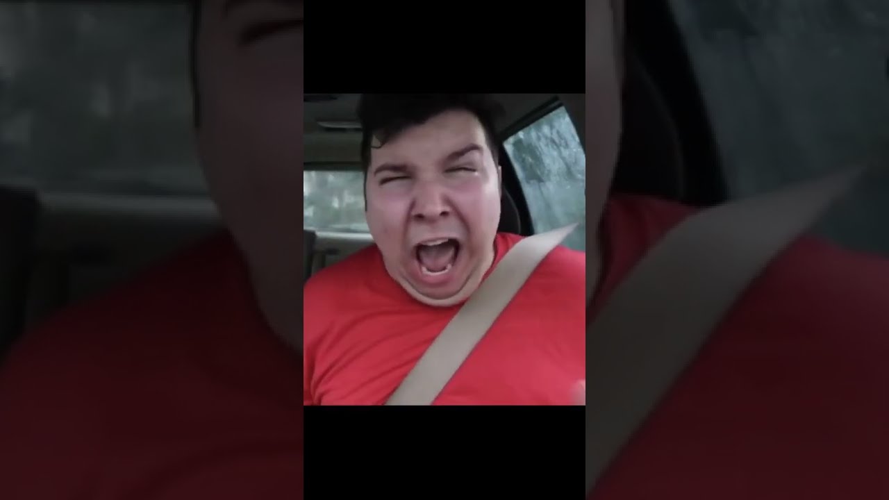 nikocado avocado screaming meme - YouTube