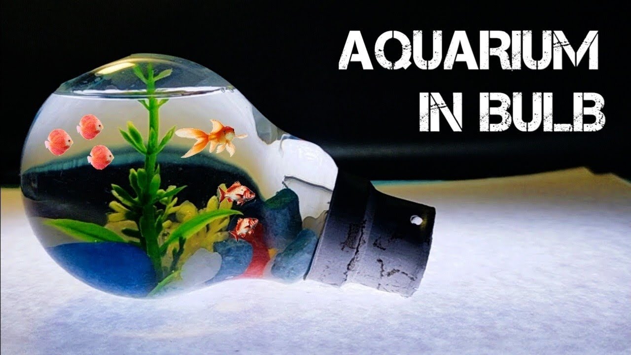 Aquarium in bulb // science project working model #scienceproject # ...
