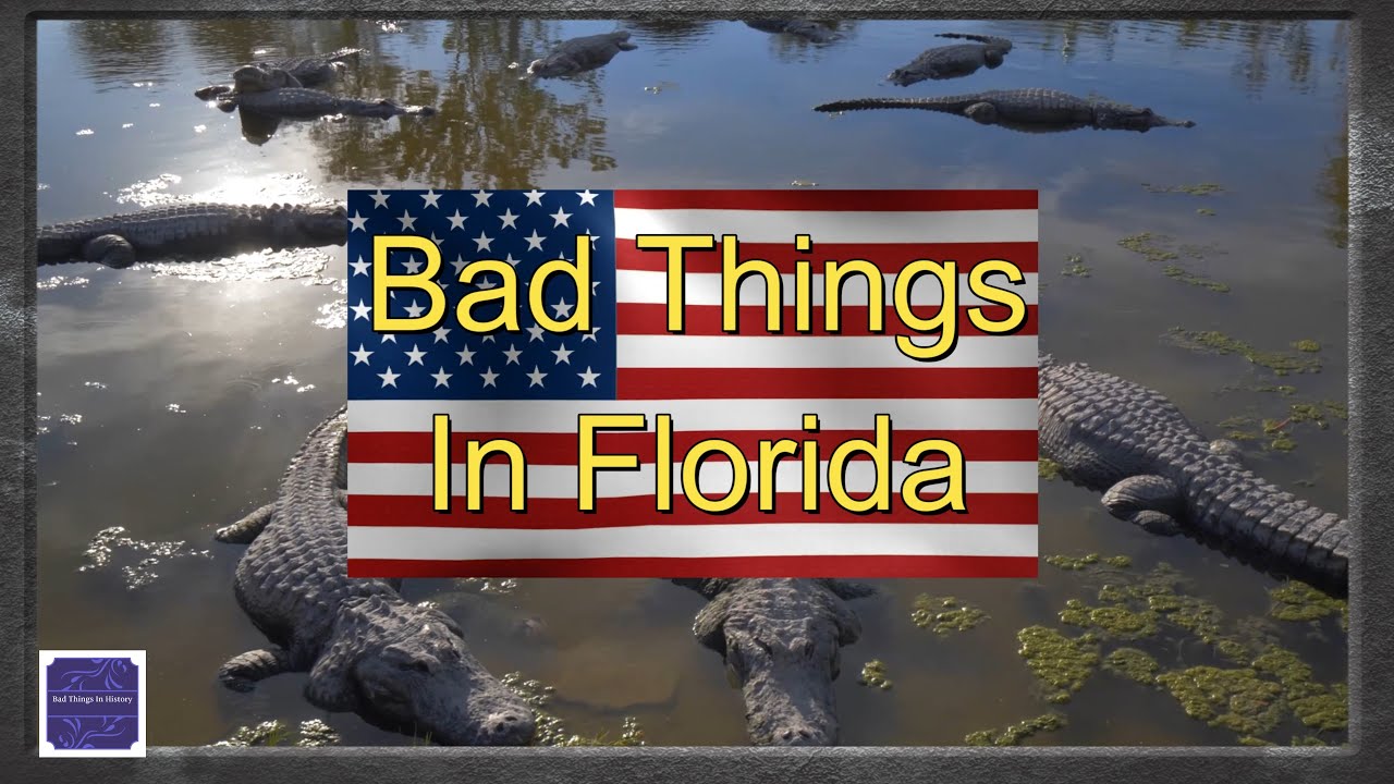 Bad Things Happened In Florida - YouTube