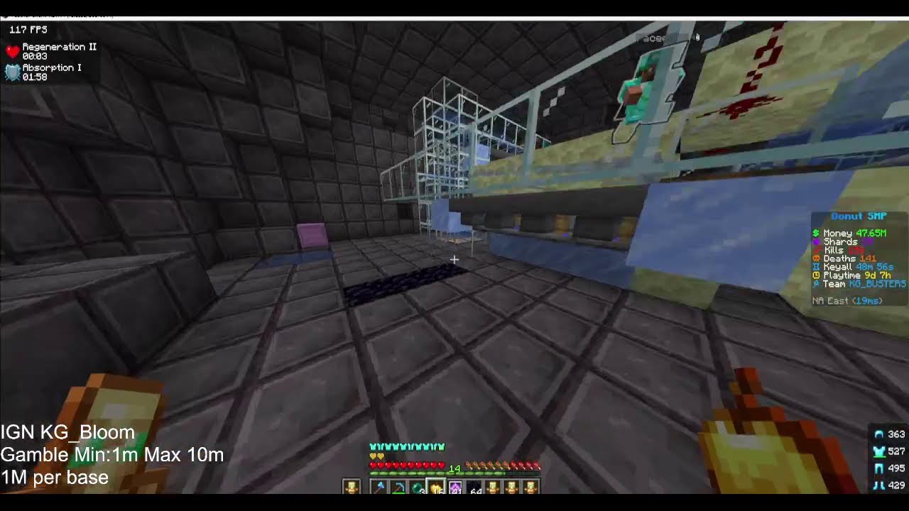 Donut SMP GAMBLE AND RATING BASES - YouTube