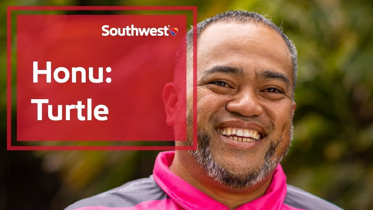 Honoring the Heart of Hawaii: Honu | Southwest Airlines - YouTube