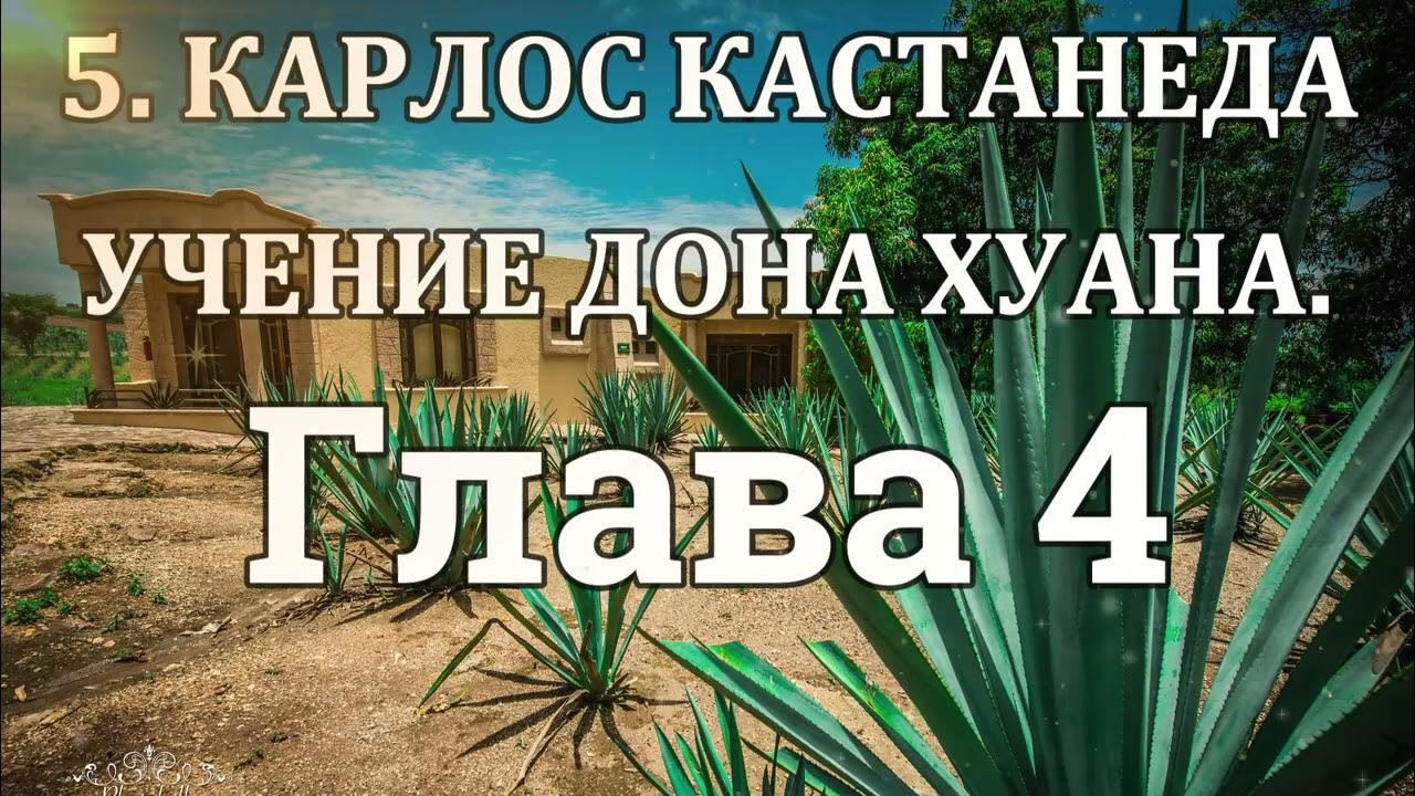 5. Карлос Кастанеда. Первая книга. Учение Дона Хуана. Глава 4 ...