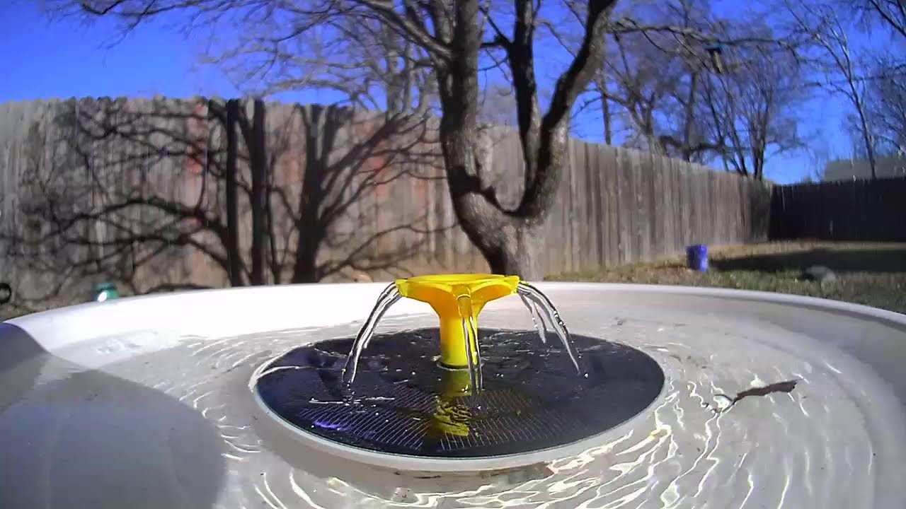 📡 LIVE: Backyard Birdfy Bird Bath – Wichita, Kansas 🐦 | RTMP Livestream ...