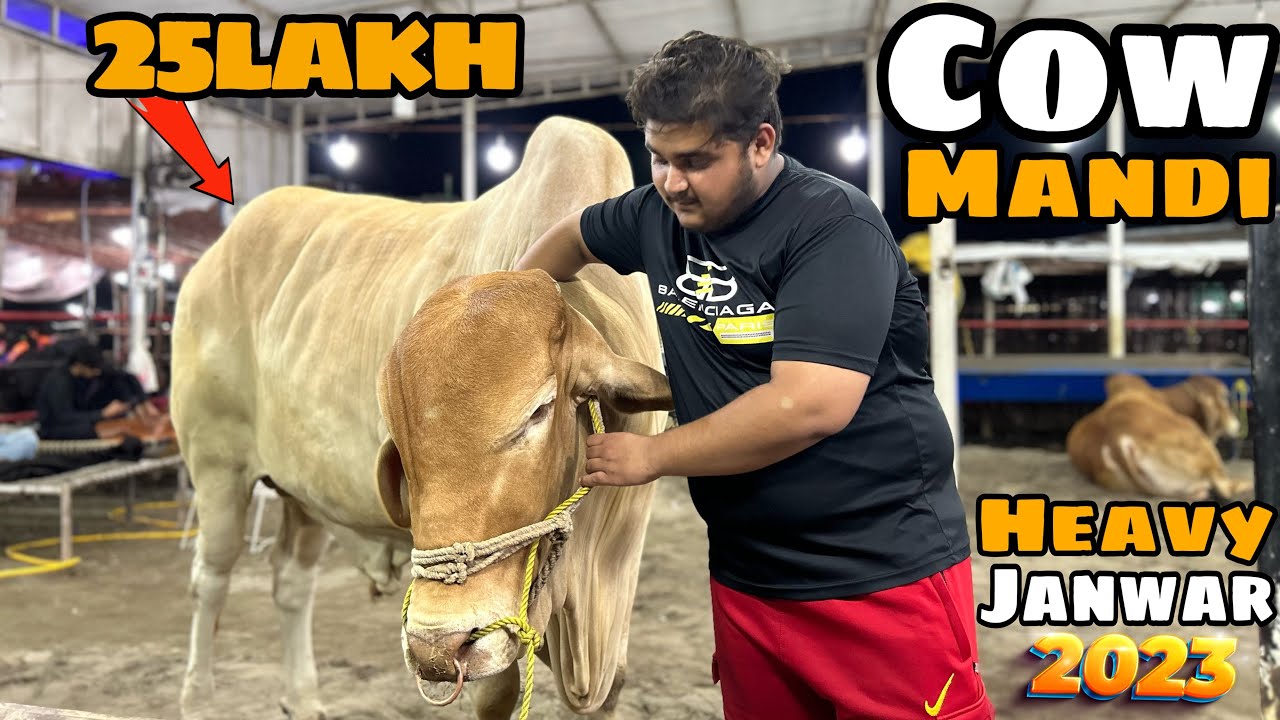 "The Countdown Begins: Get Ready for Heavy Janwar 2023!" - YouTube