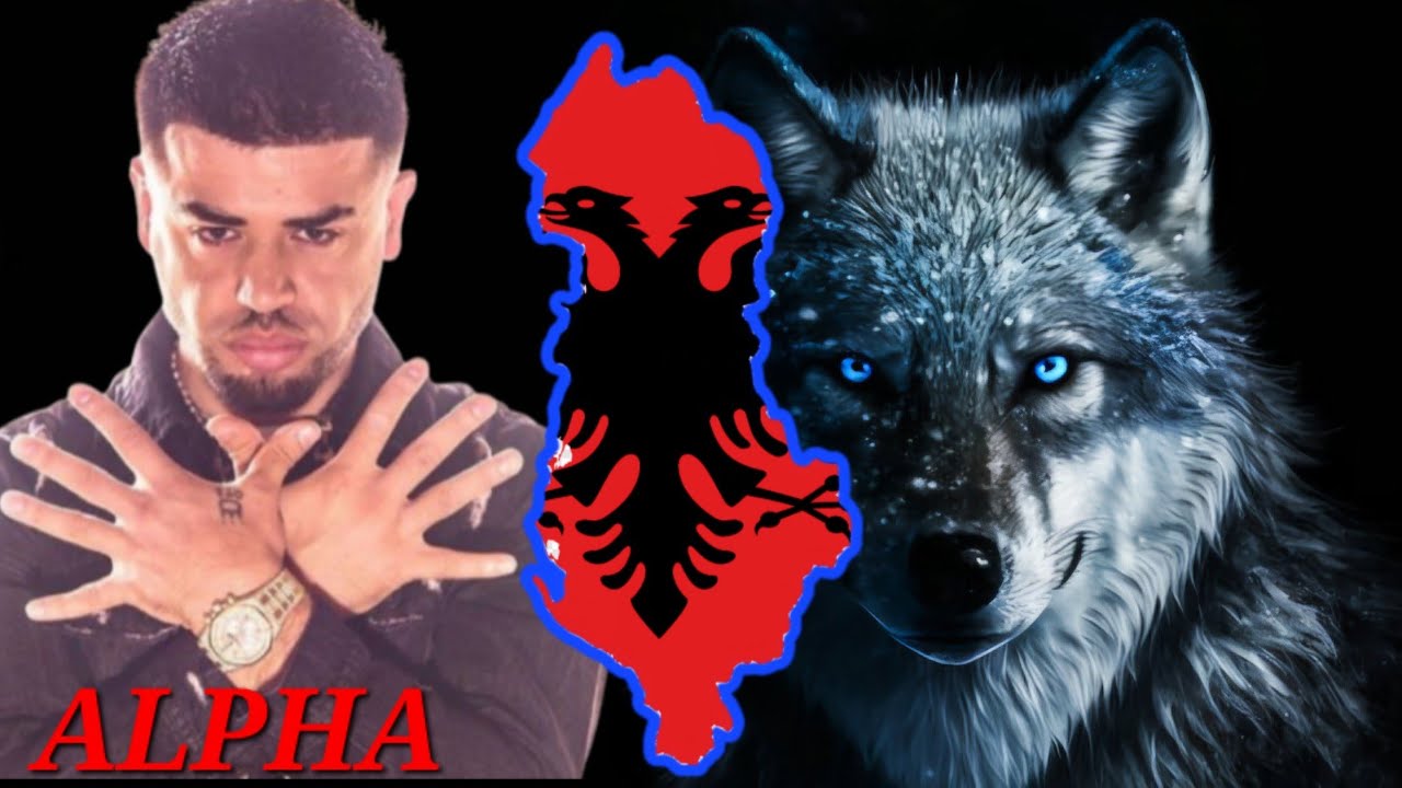 Noizy - ALPHA in Greece #noizy #alpha - YouTube