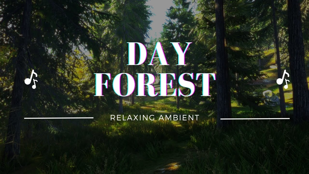 Rustling Leaves, Wind & Gentle Wildlife | 1 Hour Forest Ambience Sounds ...