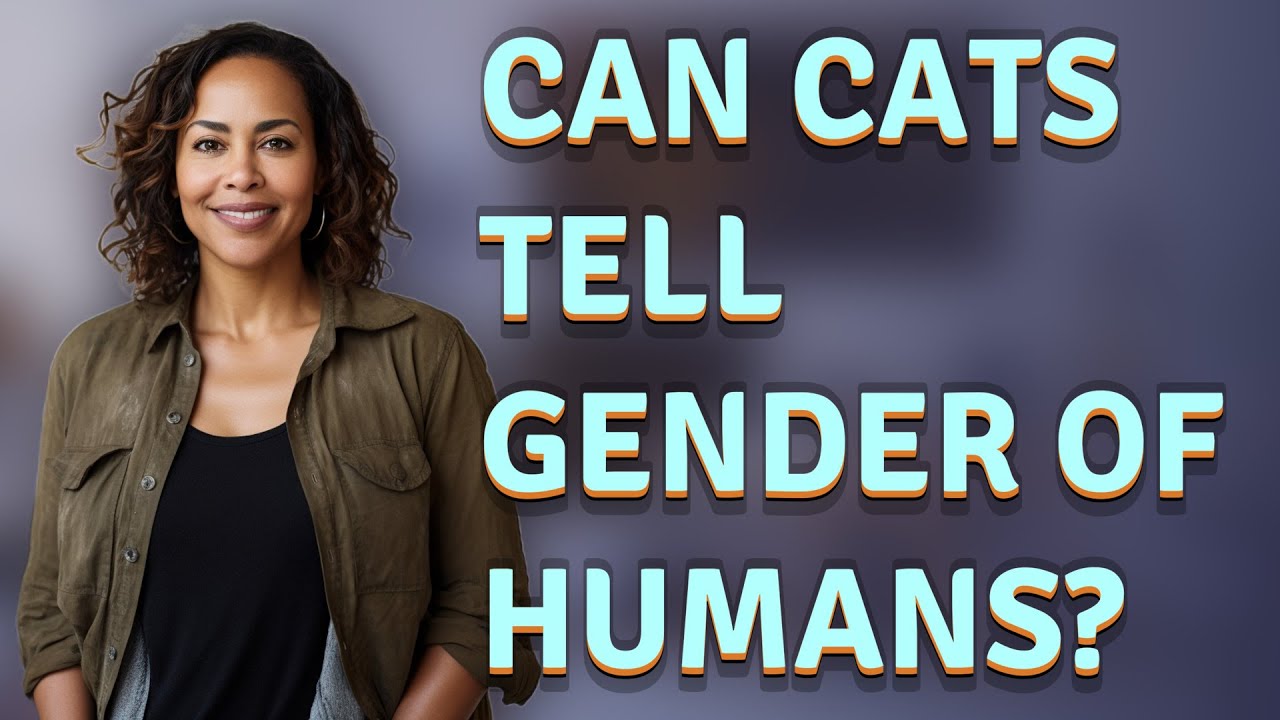 Can cats tell gender of humans? - YouTube