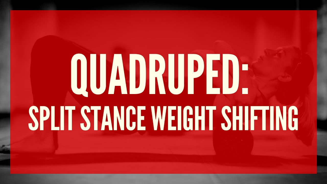 Quadruped - Split Stance Weight Shifting - YouTube