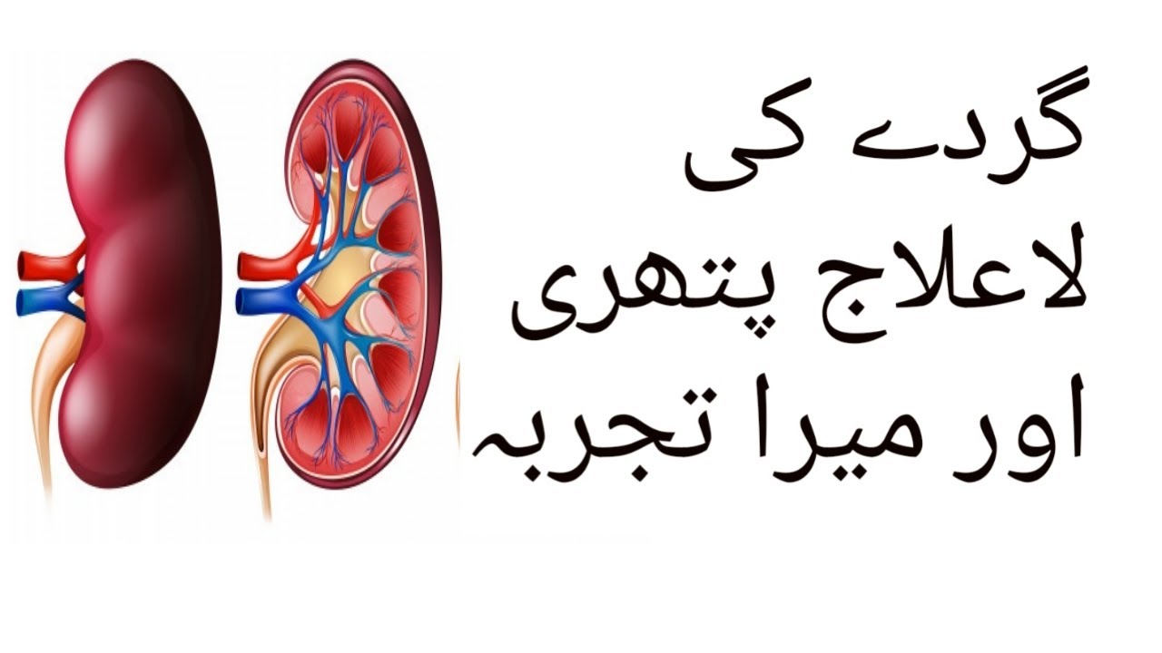 Kidney Ka Ilaj YouTube kidney-ka-ilaj-youtube